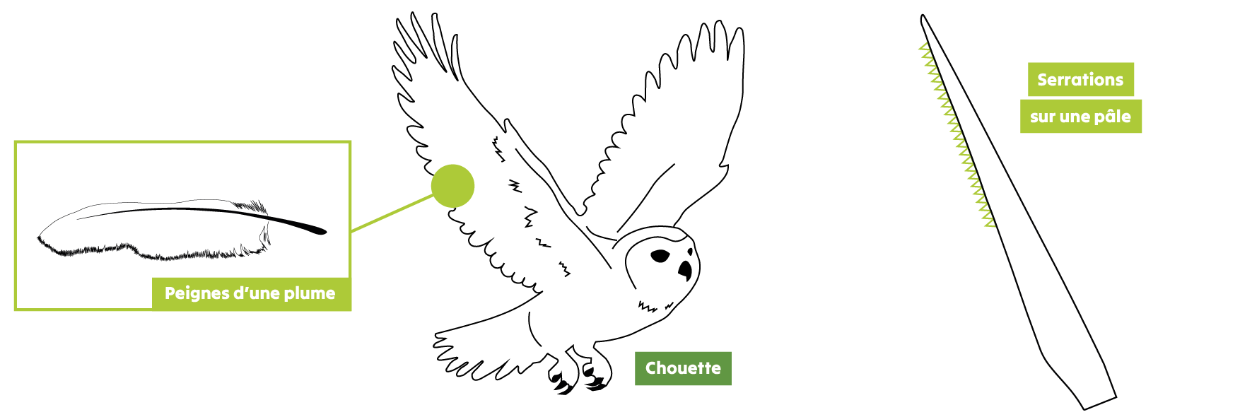 Le bruit des éoliennes | JPee - JP Energie Environnement
